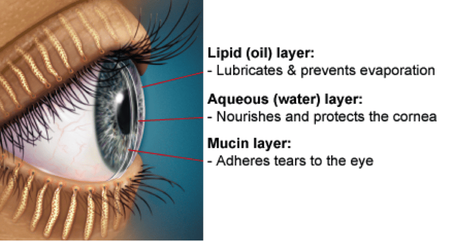 July is Dry Eye Awareness Month | Eye Clinic of Austin